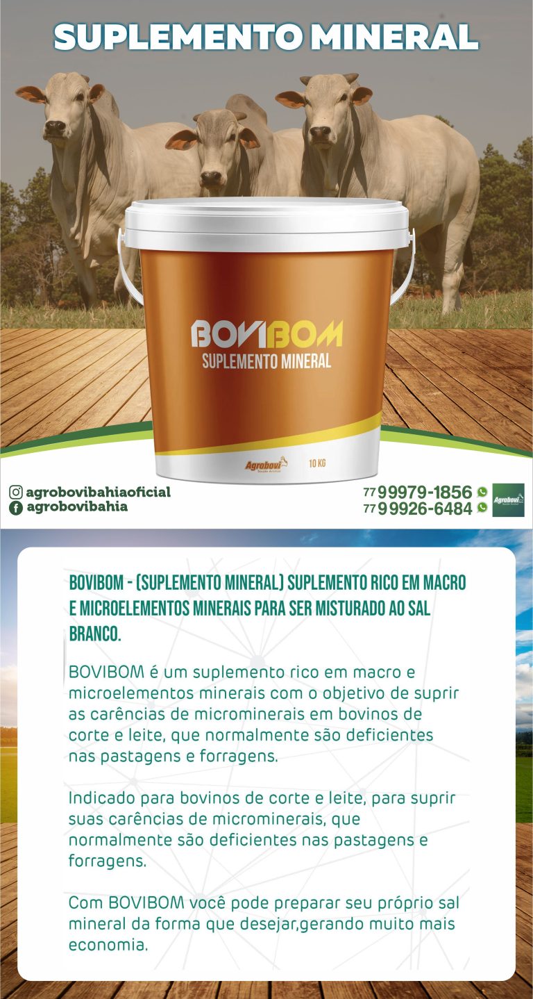 Produtividade do milho como chave para sucesso do agricultor: IHARA se ...