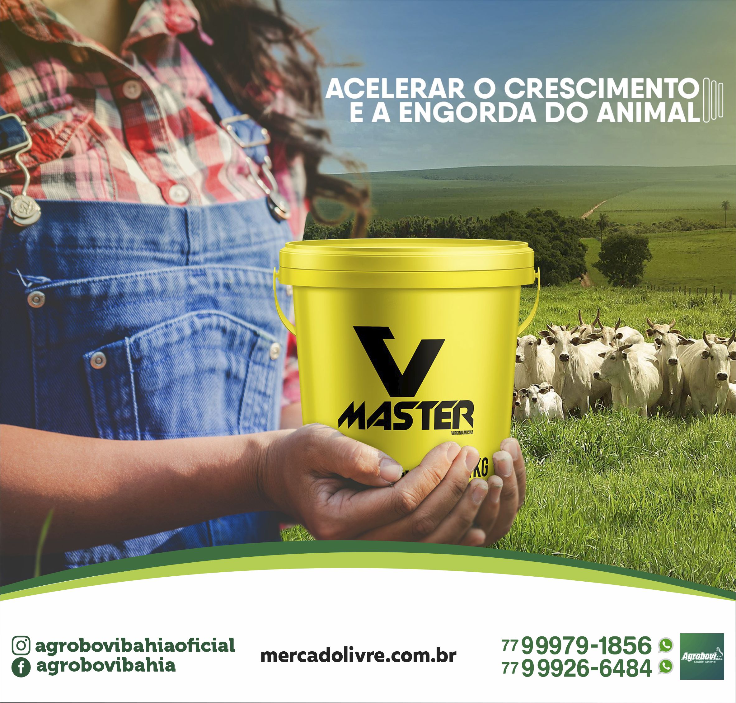 Peru habilita 36 novas unidades brasileiras para exportação de material ...